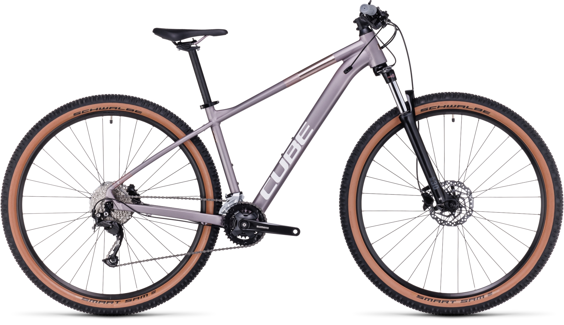 Cube Access WS PRO, Faißt Bike Sport, Hardtail